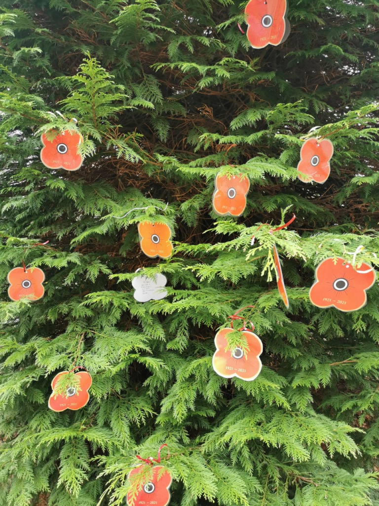 Poppy-Tree - Queen Victoria School